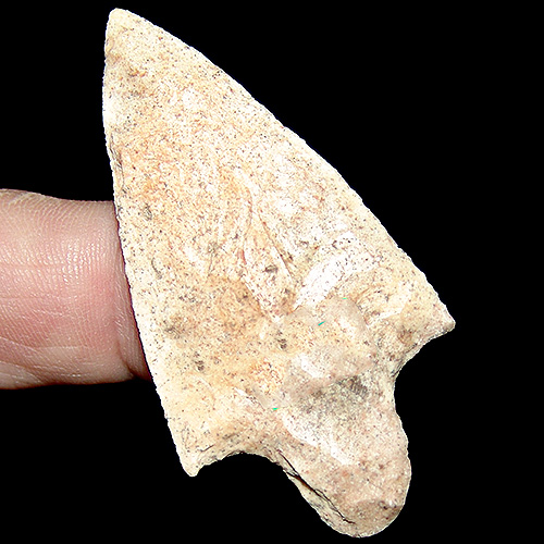 Artifacts Guide- Speckled Marion